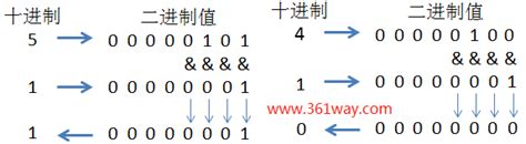 Python位运算（一）概述 云原生之路