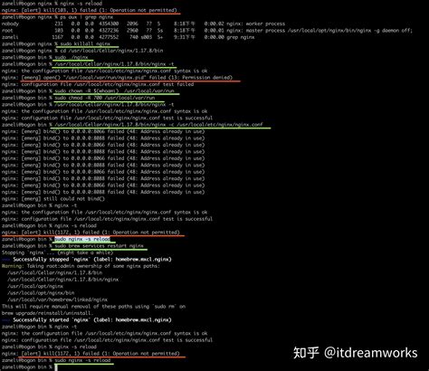 Nginx访问php动态文件为下载状态的问题 知乎
