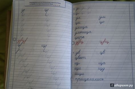 Книга: Тренажер по исправлению почерка. Тетрадь №2. Русский язык. Для ...