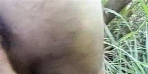 Gay Sex Sins Beso Negro Y Follada A Tope En La Jungla