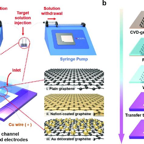 Glucose Detection Characteristics Of The Graphene Sfets Glucose Download Scientific Diagram