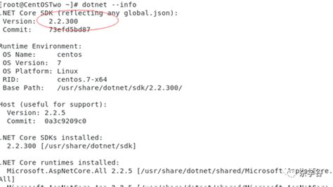 Aspnet Core部署系列二：发布到centos上 董川民