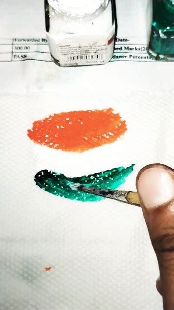 Lndian Flag 🇮🇳 Colour Mix 😱 Shorts India Trending Youtube