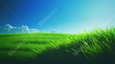 Grass White Cloud Blue Sky Cartoon Powerpoint Background For Free Download Slidesdocs