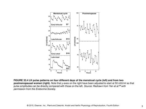 Neuroendocrine Control Of Gonadotropin Secretion Comparative Aspects Ppt Download