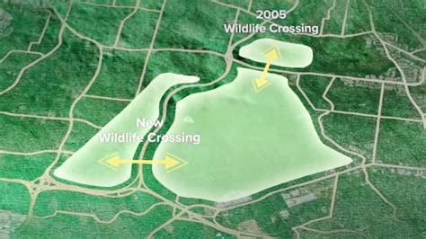 Habitat Fragmentation Wild Hope