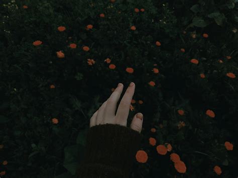 손의 선택적 초점 사진 · 무료 스톡 사진