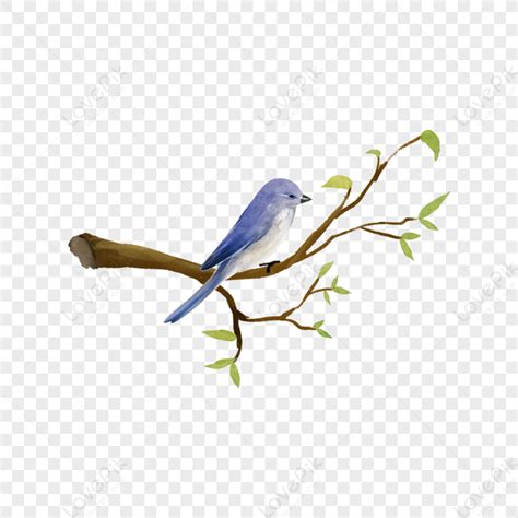 새가 나뭇가지 디자인 스티커 일러스트 그린 꽃녹색 잎이페인트 Png 일러스트 무료 다운로드 Lovepik