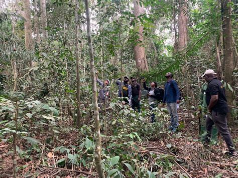 How To Unlock Carbon And Biodiversity Finance For Community Forest Managers Wwf