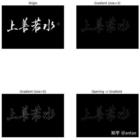 学习记录09 形态学 知乎