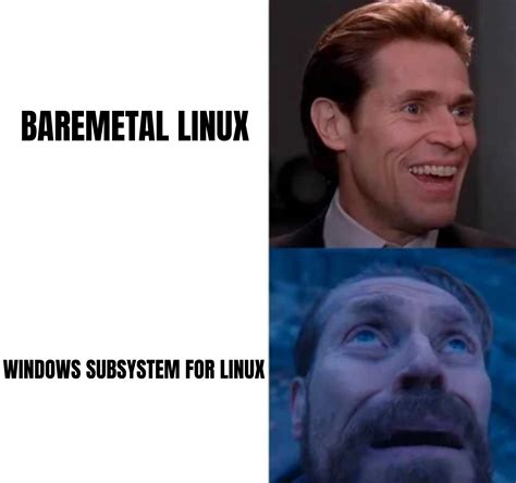 WSL R Linuxmasterrace