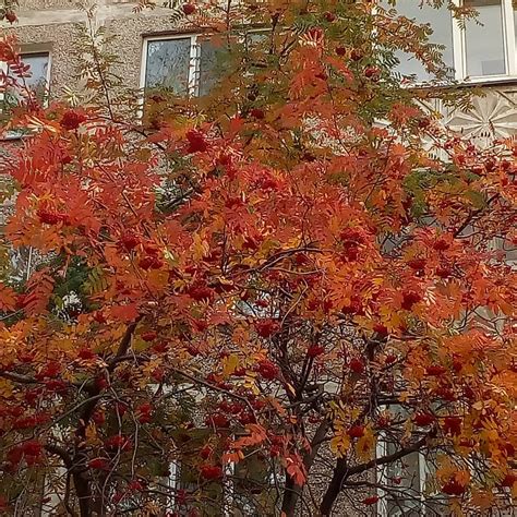 Тот Самый Mюнхгаузен “wine Room” приглашает вас на винный ужин приуроченный ко дню рождения