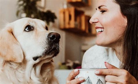 Blik Podsumowuje Pierwszy Kwartał 2023 R Ponad 370 Mln Transakcji O Wartości 50 1 Mld Zł