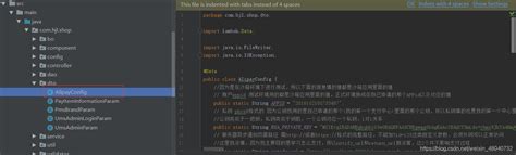 Springbootvue3对接支付宝支付详细教程 Csdn博客