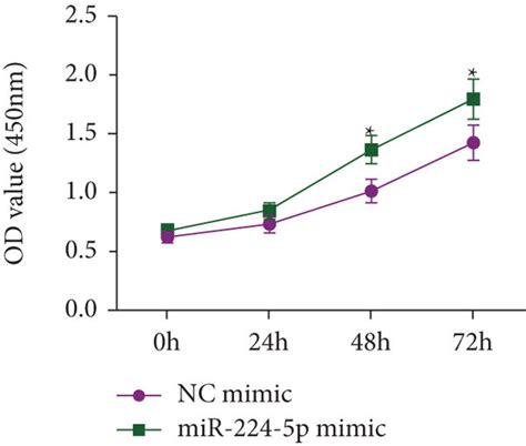 Overexpression Of Mir 224 5p Promotes Proliferation Migration And