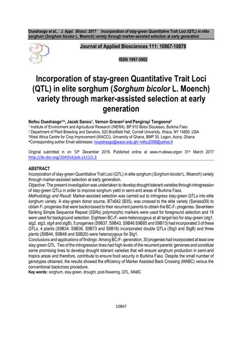 Pdf Incorporation Of Stay Green Quantitative Trait Loci Qtl In Elite Sorghum Sorghum