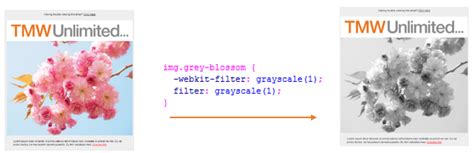 Creating Dynamic Layouts With Jekyll By Zander Martineau Tmw