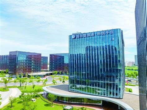 勇当国际规则对接先行者 临港赋能数字贸易迎“进博窗口” 数据 跨境 建设