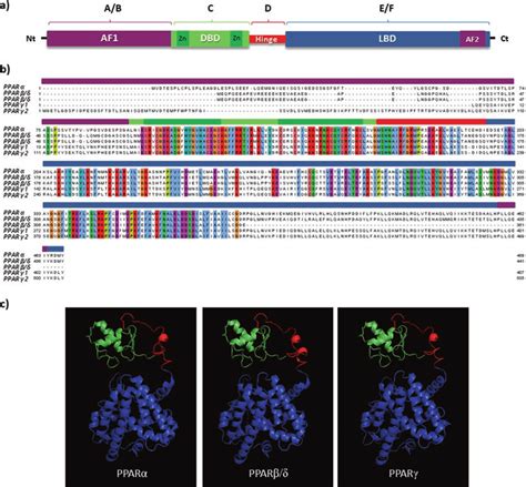 1 General Structure And Sequence Alignment Of Ppars A A Download Scientific Diagram