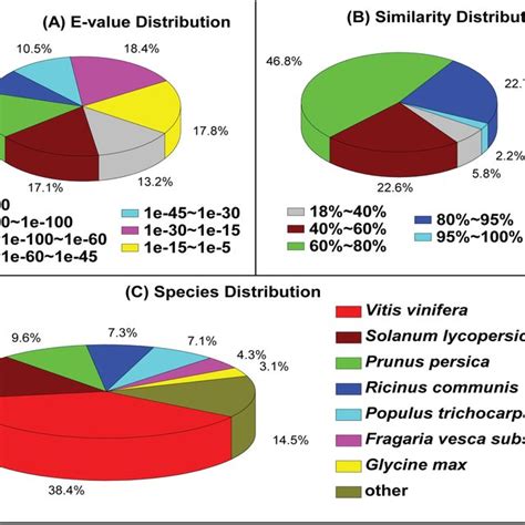 Proposed Pathways For Polysaccharide Biosynthesis In Codonopsis