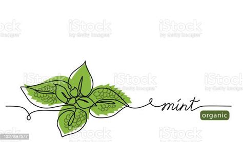 민트 스피어민트 벡터 일러스트레이션 라벨 디자인에 대한 배경 레터링 오가닉 민트가 있는 연속 라인 아트 드로잉 일러스트레이션 1회 민트 식물군에 대한 스톡 벡터 아트 및