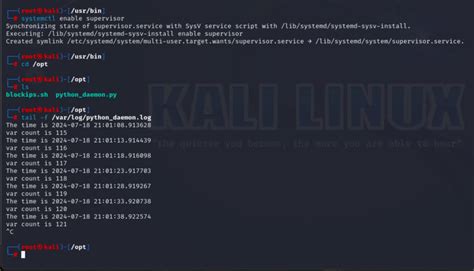 Creating Managing And Troubleshooting Python Daemons With Supervisor