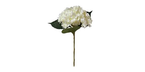 Flower Hydrangea Single Branch White