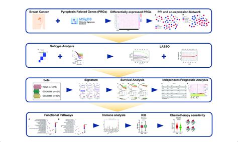 Flow Diagram Of Our Study Download Scientific Diagram