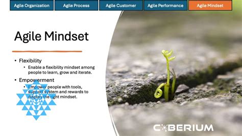 Solyd On Linkedin Agile Agilemindset Aiagile