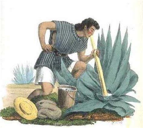 Pulque Is Mexicos Oldest Alcoholic Beverage Known As The “drink Of