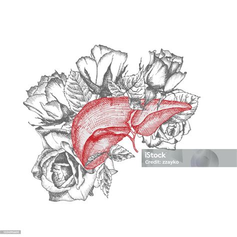 꽃다발 과 간 장미 인간의 내부 오르간과 꽃 프레임의 현실적인 손으로 그린 아이콘 조각 예술 스케치 스타일입니다 의료 프로젝트에 대한 디자인 개념은 바이러스 성 재활 포스터