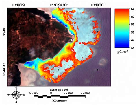 Spatial Distribution And Value Of Seagrass Carbon Using Sentinel 2a At Download Scientific