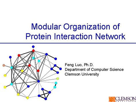 Modular Organization Of Protein Interaction Network Feng Luo
