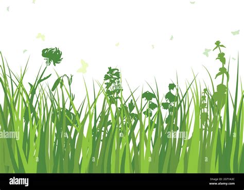 Green Grass Meadow Stock Vector Image And Art Alamy