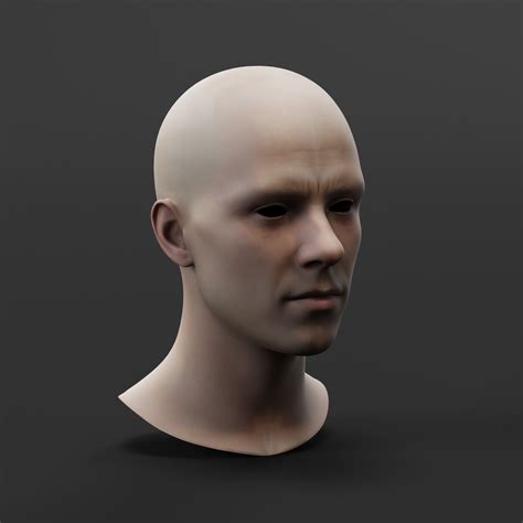 3d Scanned Human Head Free Human Heads Models Blenderkit