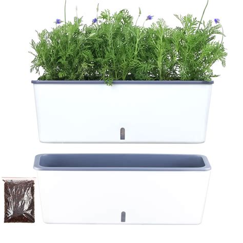 Where To Buy Rectangular Plant Pots At Erica Dunbar Blog
