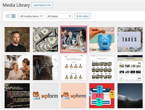 Wordpress Media Library The Definitive Guide Supporthost
