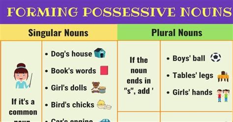 Possessive Nouns Forming The Possessive Noun With Easy Examples ESL