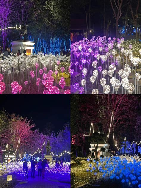 เทศกาลไฟ ณ สัทธา อุทยานไทย ราชบุรี ⭐️💐🕯 แกลเลอรีที่โพสต์โดย