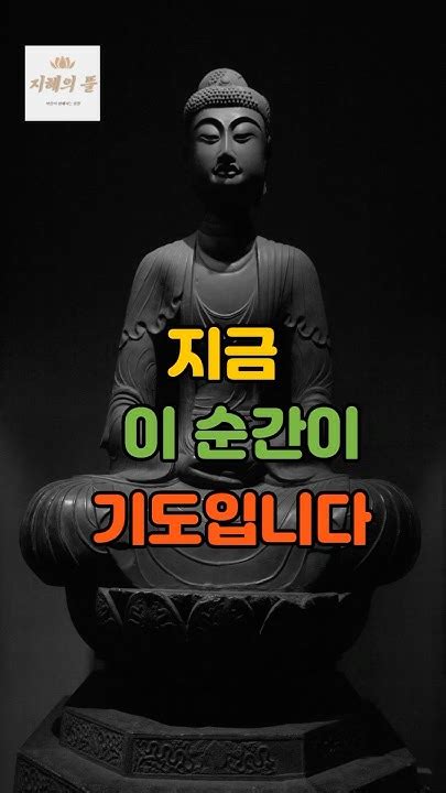 지금 이 순간이 기도입니다 부처님말씀부처님말씀 마음치유 마음수행 불교명언 불교가르침 지혜의뜰 오디오북 불교수행 기도수행 현재를살다 Youtube