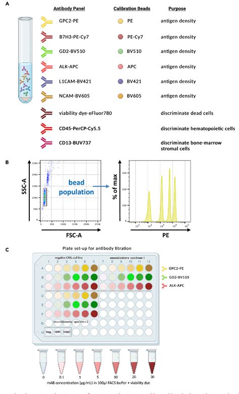 figure 1 from antigen density quantification of cell surface immunotherapy targets by flow