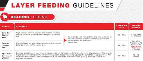 From Rearing To Laying Your Chicks Need All The Health They Can Get