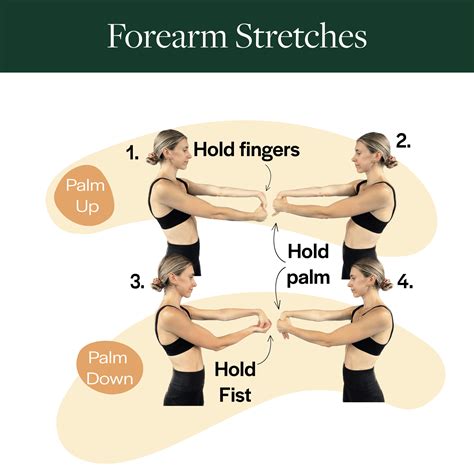 Upper Body Movements For The Workplace Salon And Beyond — Matisse Perks