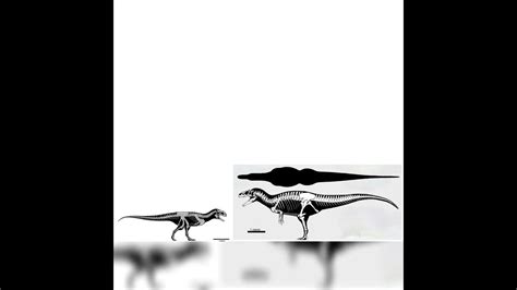 Majungasaurus And Allosaurus Size Comparison Youtube