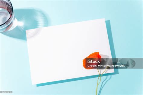 빈 카드와 붉은 양귀비 꽃은 밝은 파란색 배경에 단단한 그림자가 있습니다 휴일 개념 인사말 카드 초대장 모형 평면도 평지 0명에 대한 스톡 사진 및 기타 이미지 Istock