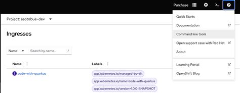 Automate Operations With Tilt And The Developer Sandbox How To Use