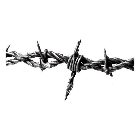 Barbed Wire Pngs For Free Download