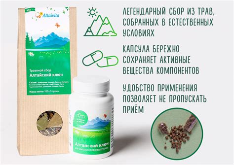 Купить набор Алтайский ключ из 6 шт (30 капсул по 500 мг.) в Алтайвита