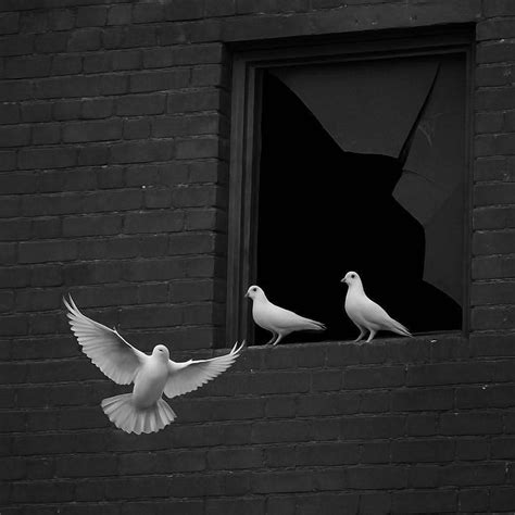 სელენიფენი ა