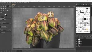 How To Erase To Transparency In GIMP Different Methods